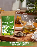herbal tea blend with catnip