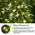 herbal tea blend with mistletoe