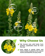 herbal tea blend with mullein