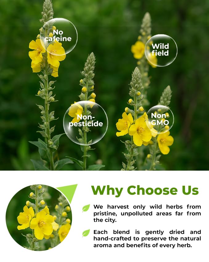 herbal tea blend with mullein