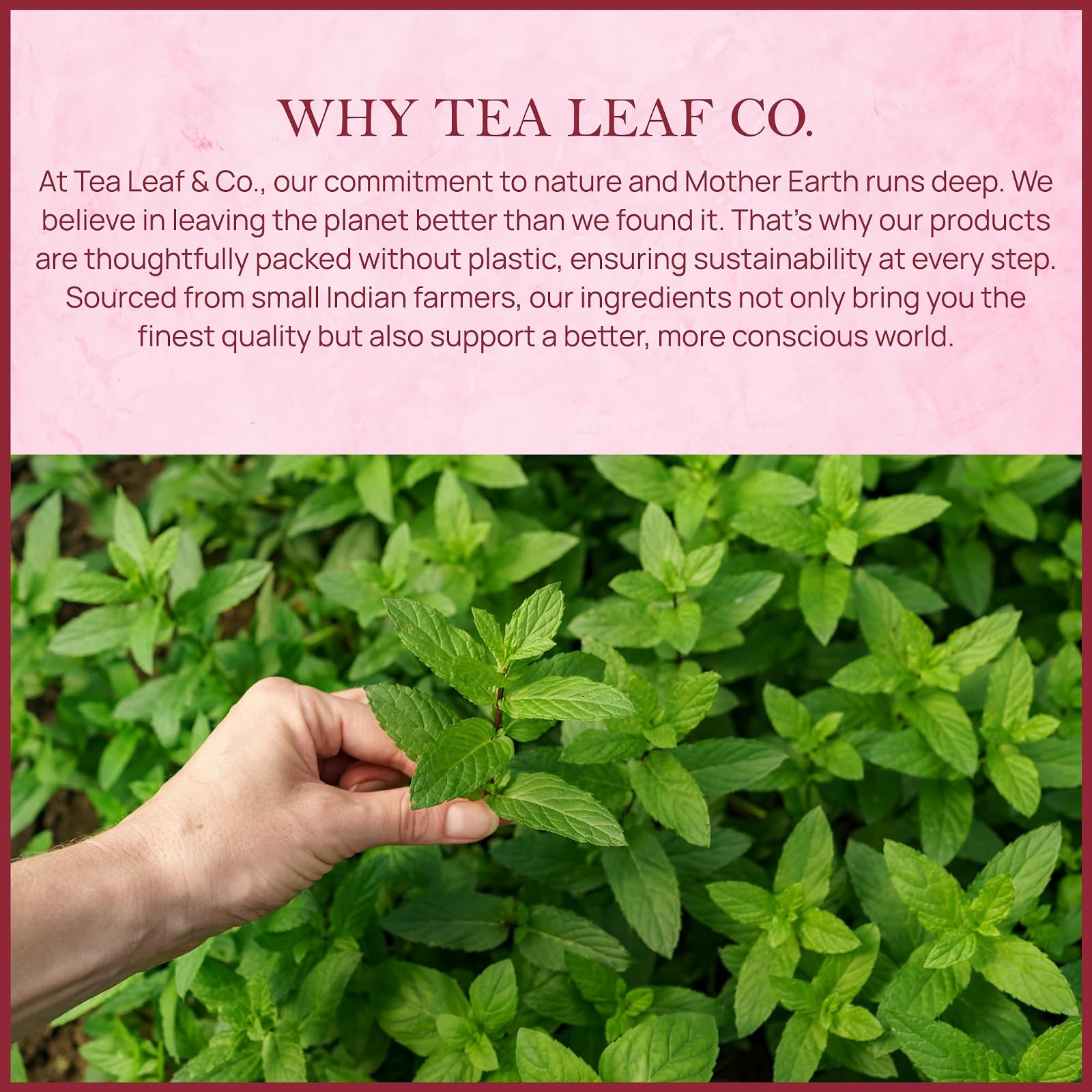 herbal tea for a calming experience