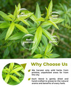 herbal tea for calming moments