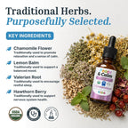 herbal tea for children's relaxation