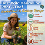 herbal tea for detox and wellness