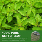 herbal tea for detox benefits