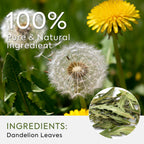 herbal tea for digestion support