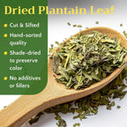 Herbal tea for digestive health