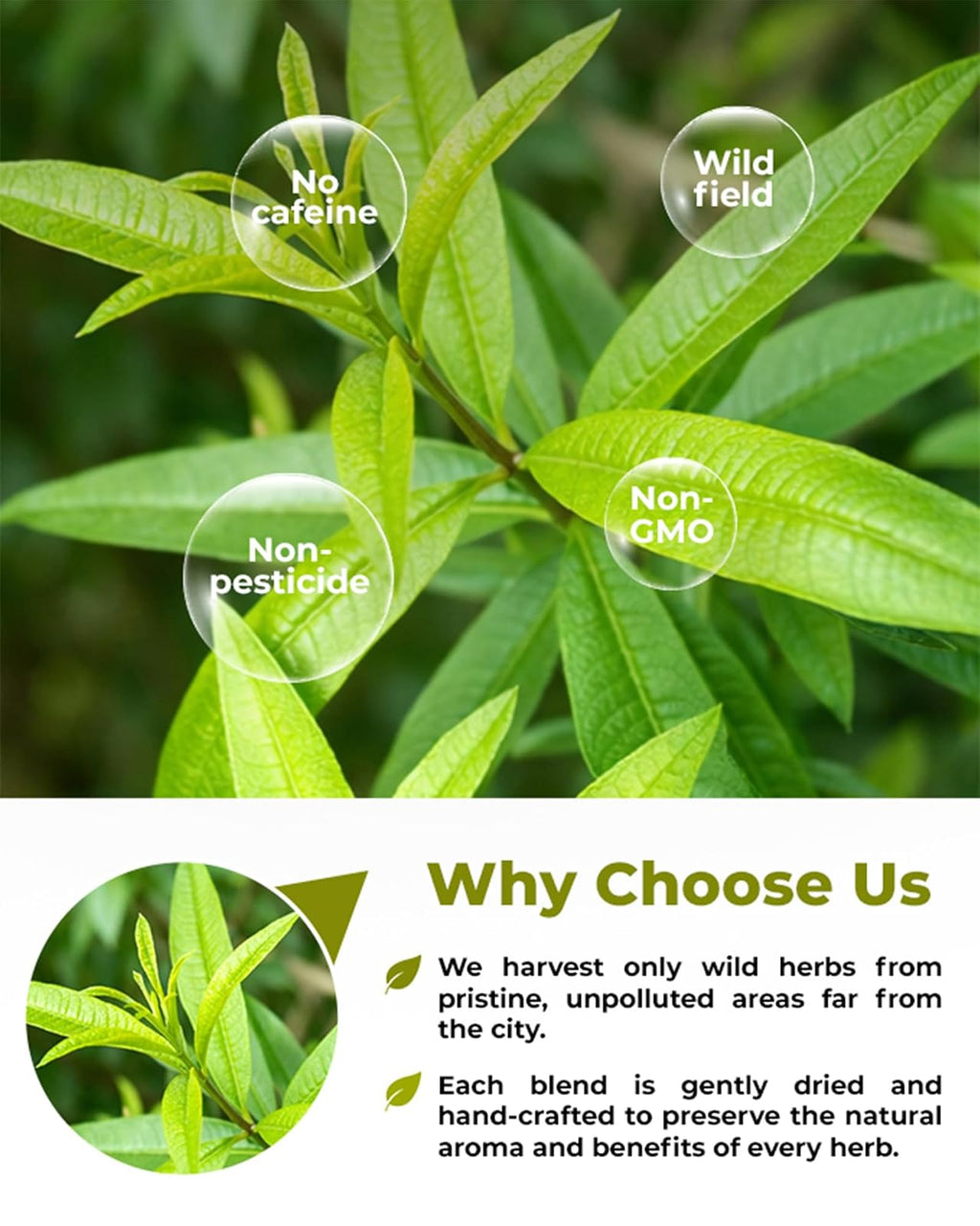 Herbal tea for digestive health