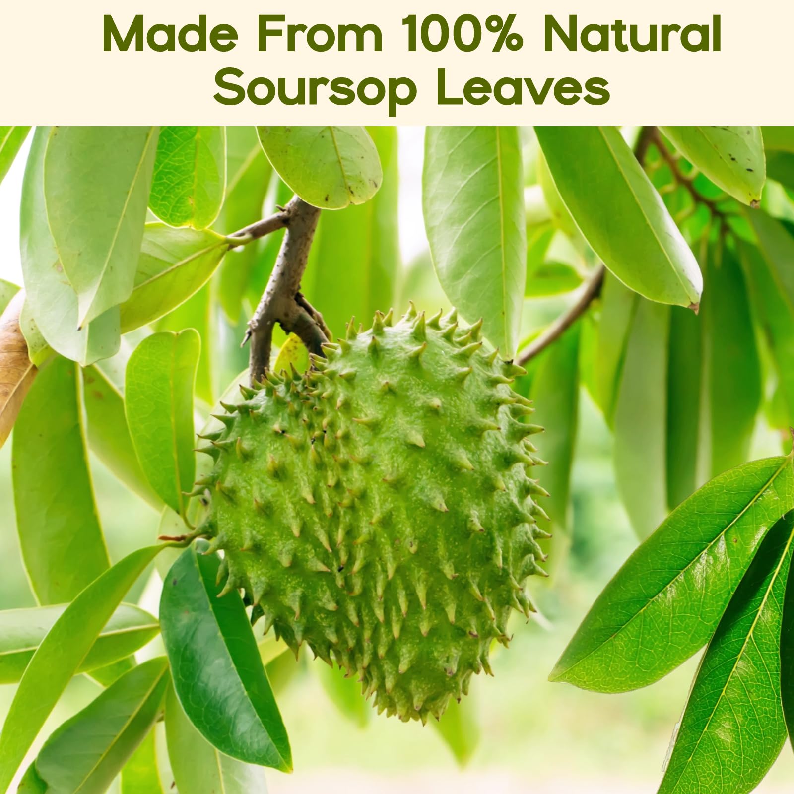herbal tea for digestive health