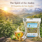 herbal tea for digestive health
