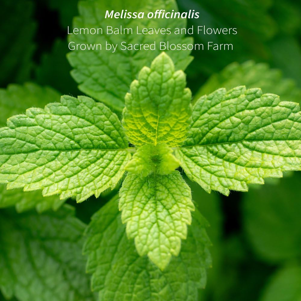 herbal tea for digestive health