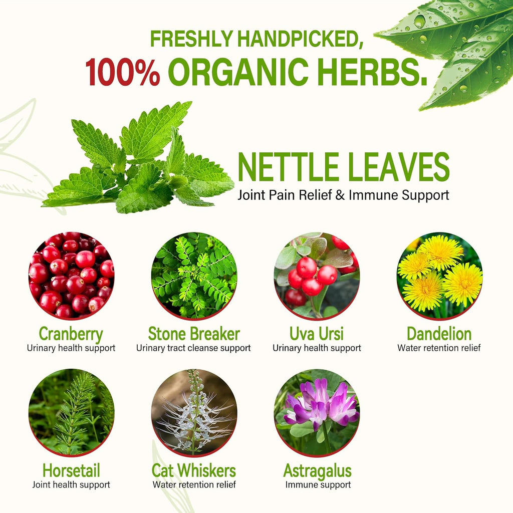Herbal tea for digestive health