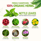Herbal tea for digestive health