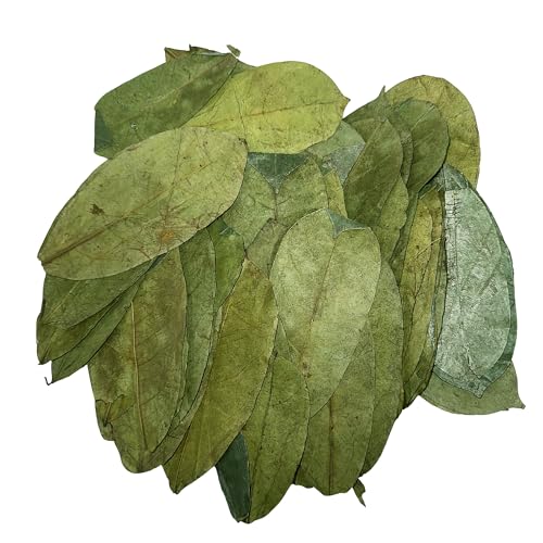 Herbal tea for digestive health