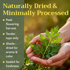 herbal tea for digestive support