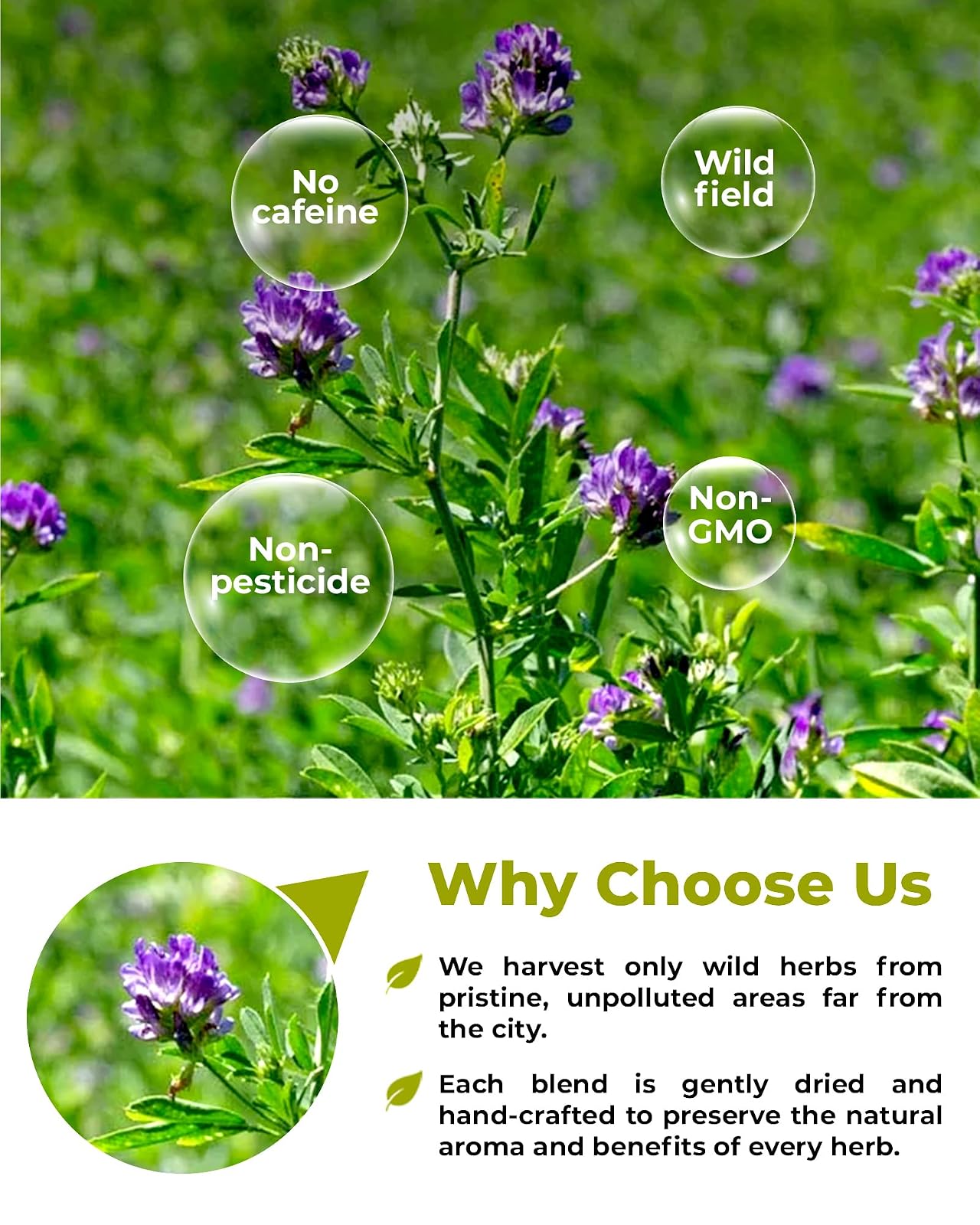 Herbal tea for digestive support