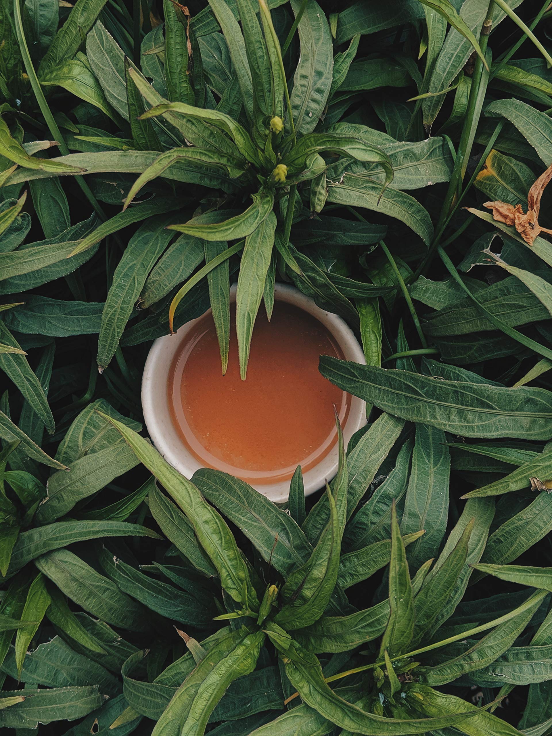 herbal tea for emotional balance