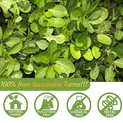herbal tea for energy boost