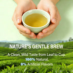 herbal tea for eye health