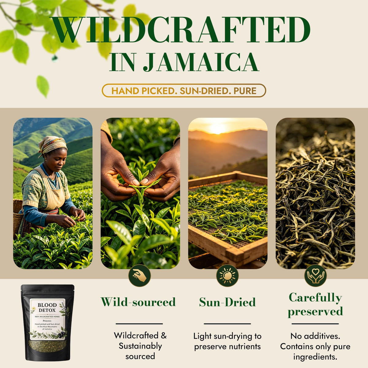 herbal tea for healthy living