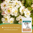 herbal tea for heart health