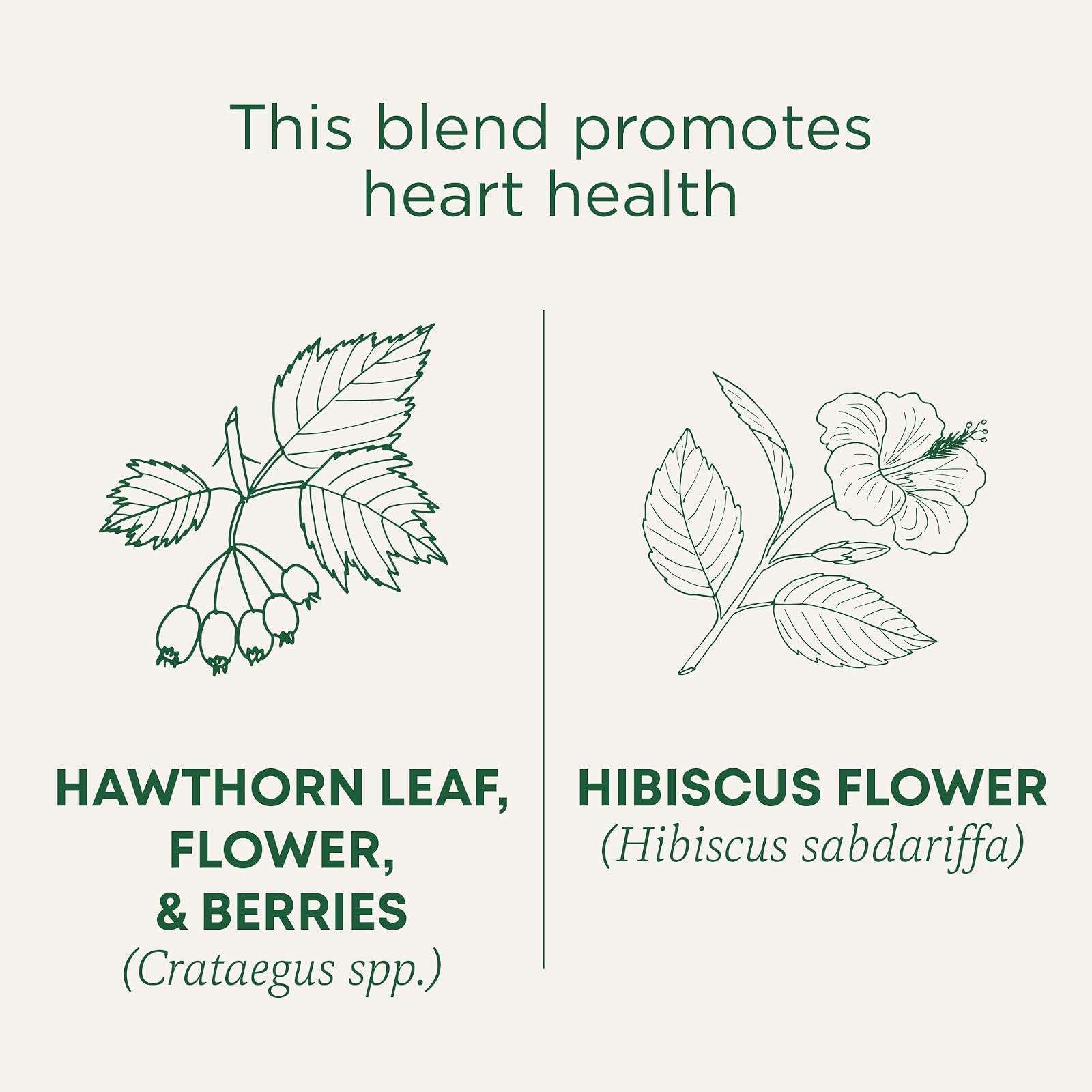 herbal tea for heart health