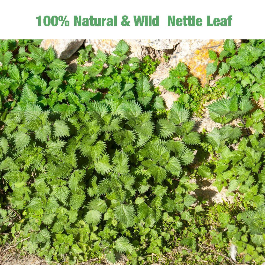 Herbal tea for immune support