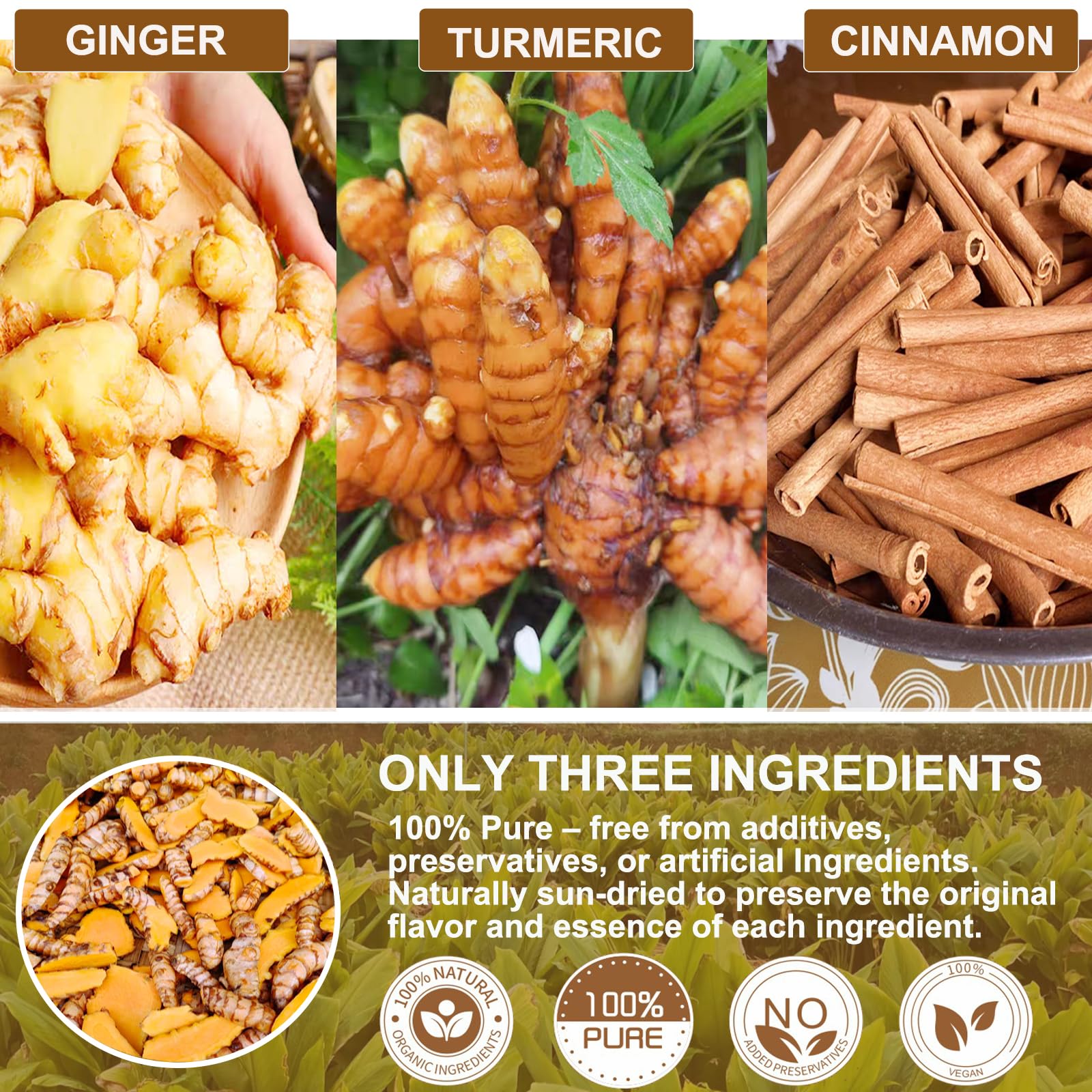 herbal tea for immune support