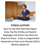herbal tea for immune support