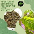 Herbal tea for kidney support