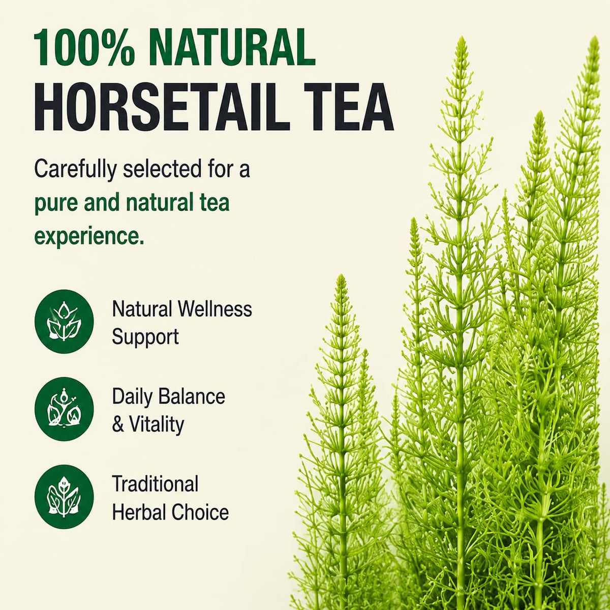 herbal tea for natural wellness
