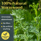 Herbal tea for natural wellness