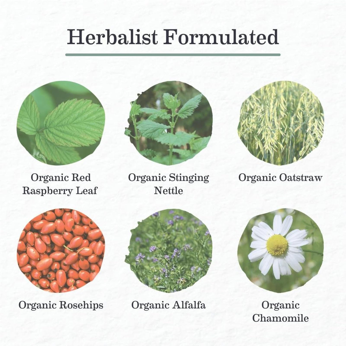 herbal tea for pregnancy wellness