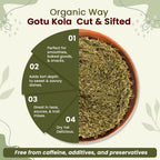 Herbal tea for relaxation and focus