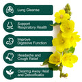 herbal tea for relaxation and wellness