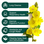 herbal tea for relaxation and wellness