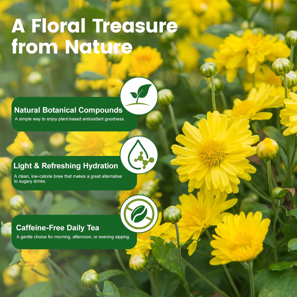 herbal tea for relaxation and wellness