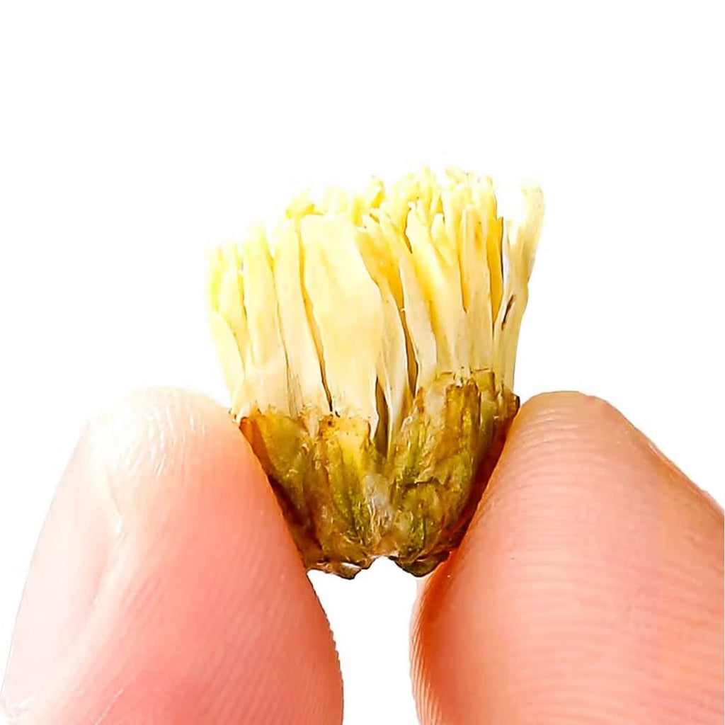 Herbal tea for relaxation and wellness