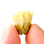Herbal tea for relaxation and wellness