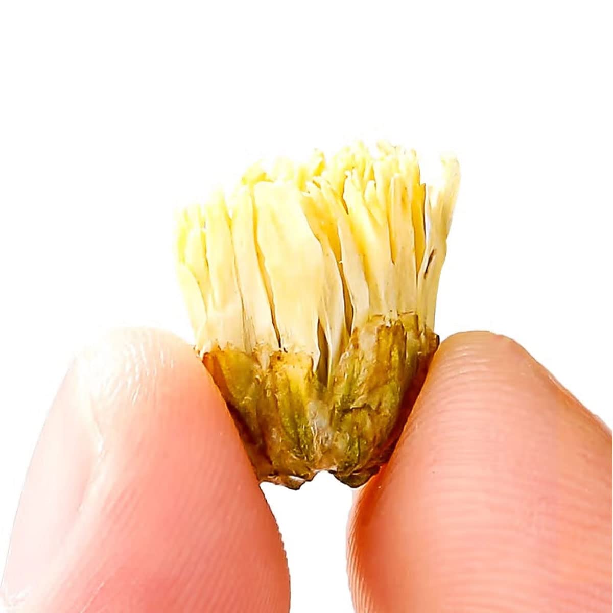 Herbal tea for relaxation and wellness
