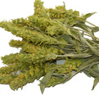 herbal tea for relaxation and wellness