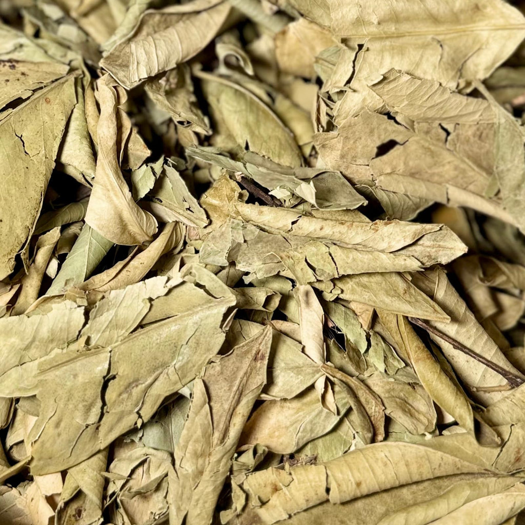 Herbal tea for relaxation Nicomex