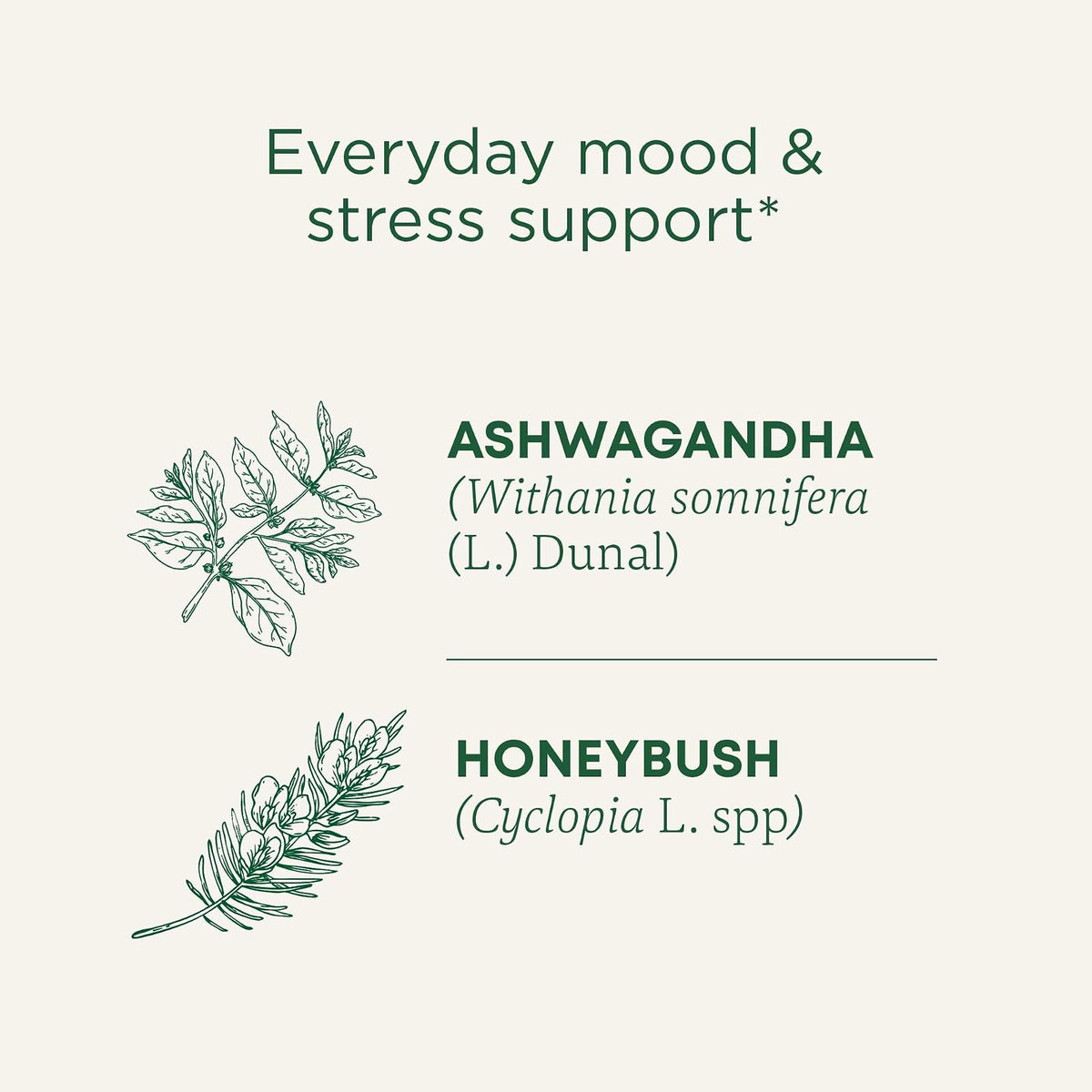 Herbal tea for relaxation