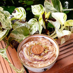Herbal tea for relaxation