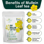 herbal tea for respiratory health