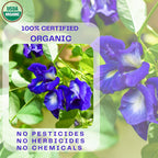 herbal tea for vibrant health