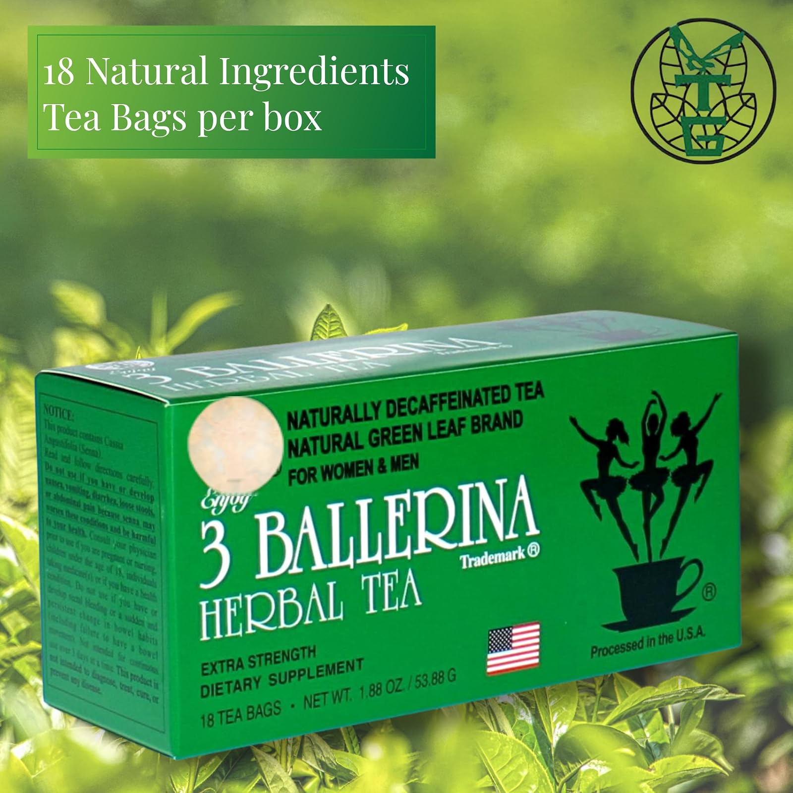 herbal tea for wellness routine