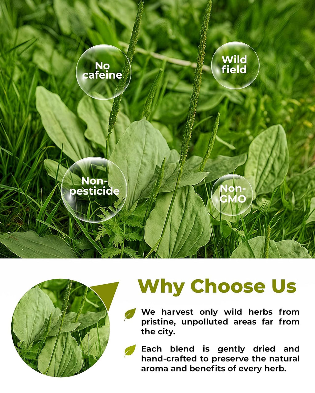 herbal tea for wellness support