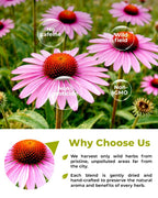 herbal tea for wellness support