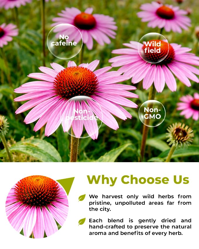 herbal tea for wellness support
